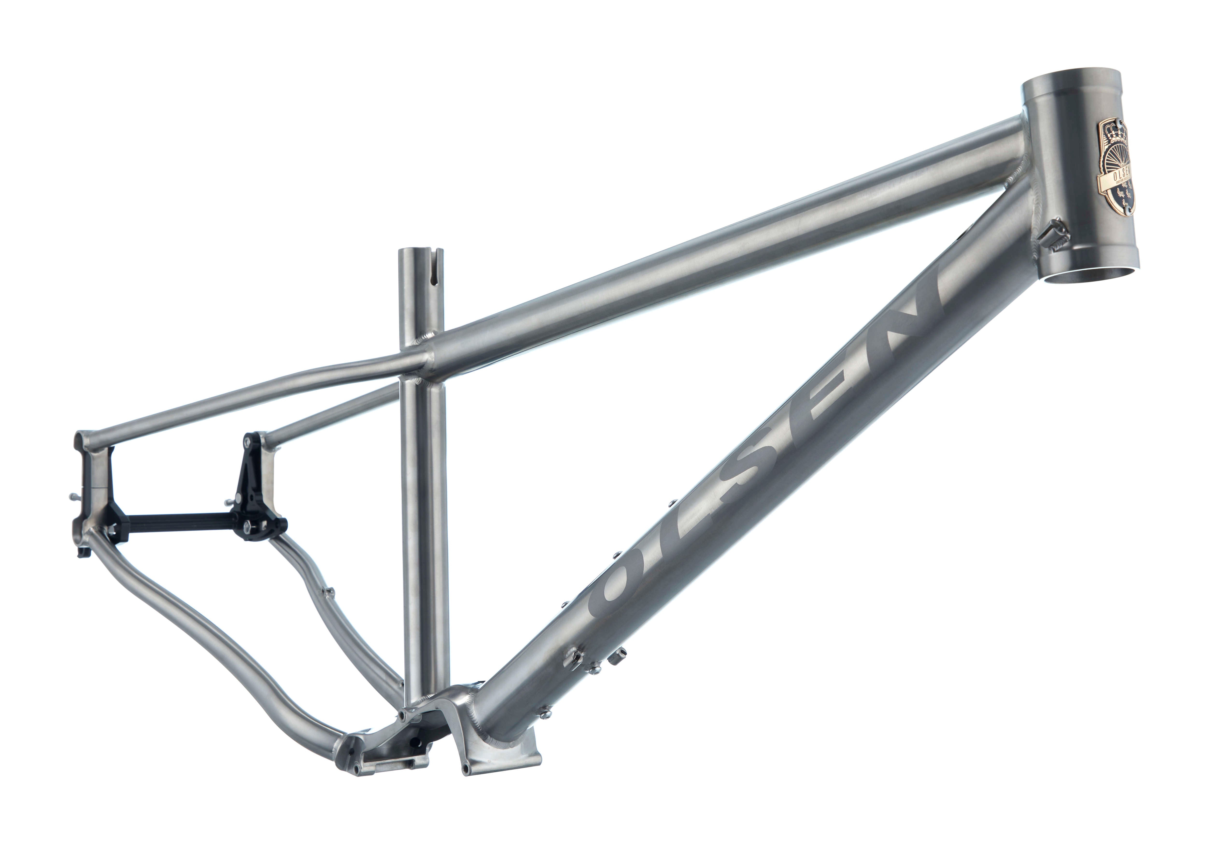 Tiger- Pinion C1.12 DS2 Frameset